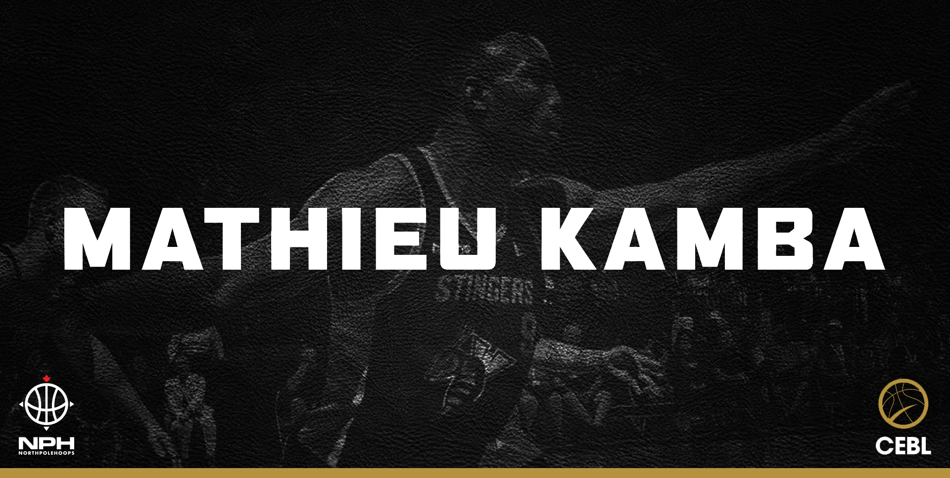 From a relatively unknown high-flyer in Calgary to the NCAA, Europe and ...